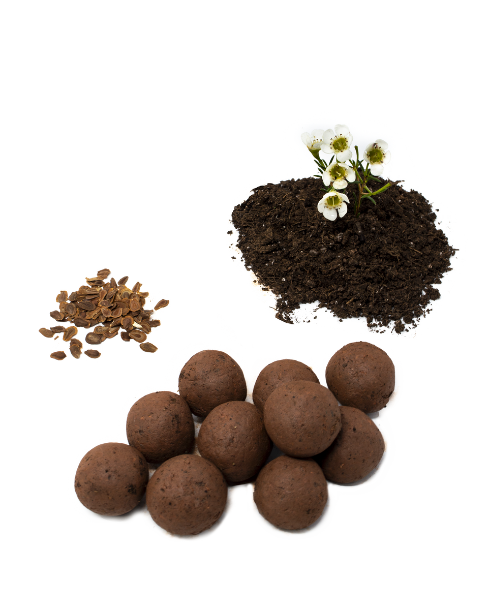 Native flowers seed bombs | Lasclay